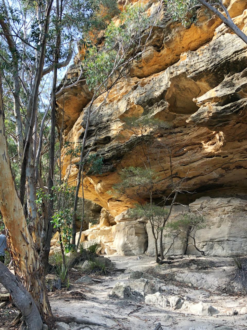 New Aboriginal Cultural Tours launched - Bathurst Region Tourism